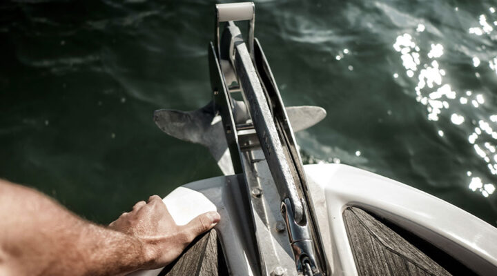 Ancre Bateau : Guide complet - Comptoir Nautique